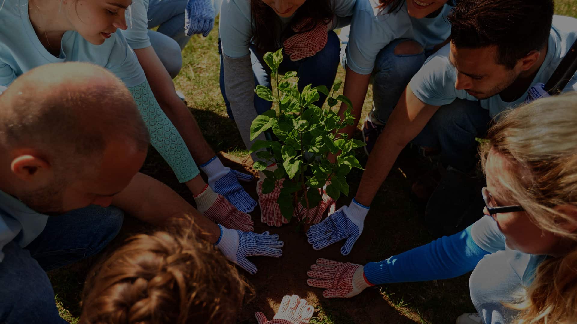 Forening - Hvad er en forening, og hvordan starter man en?